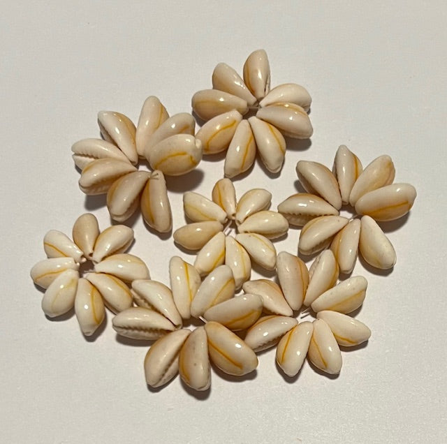 SHELLS – U'i Mau A Mau LLC.